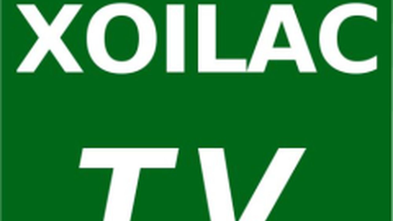 XOILAC - @xoilaconl — Blender Community