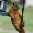 cross_randall - @cross_randall — Blender Community