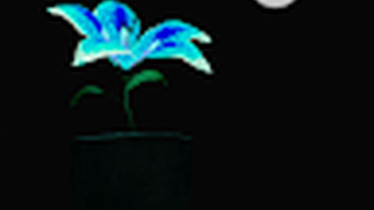 Hayley Morris - @hayley9 — Blender Community