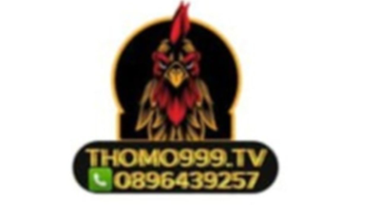 THOMO999.TV Trực Tiếp Đá Gà Thomo SV388 - @thomo999tvtructiepagathomosv388 — Blender Community