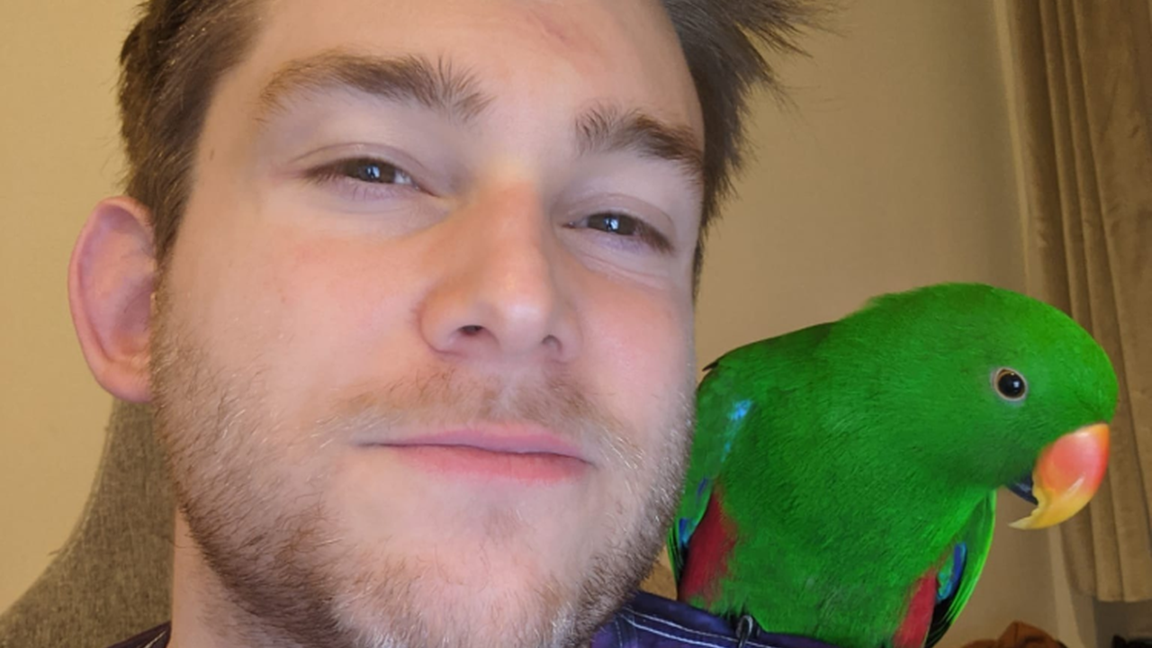 Josh Junon - @joshjunon — Blender Community