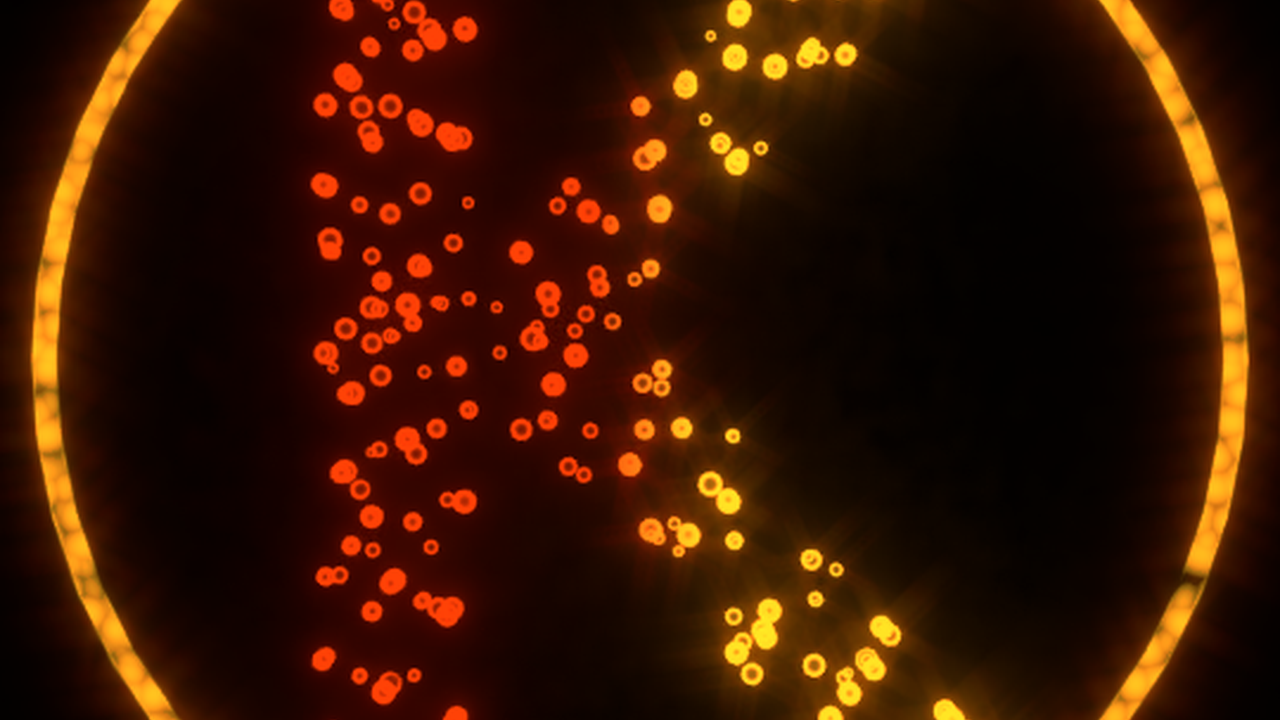 Kolupsy - @kolupsy1 — Blender Community